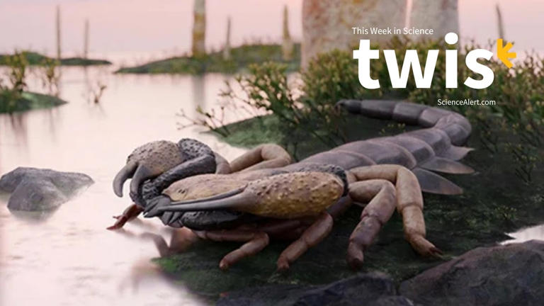 This week in science: World's biggest scorpion, a whale graveyard, and ...
