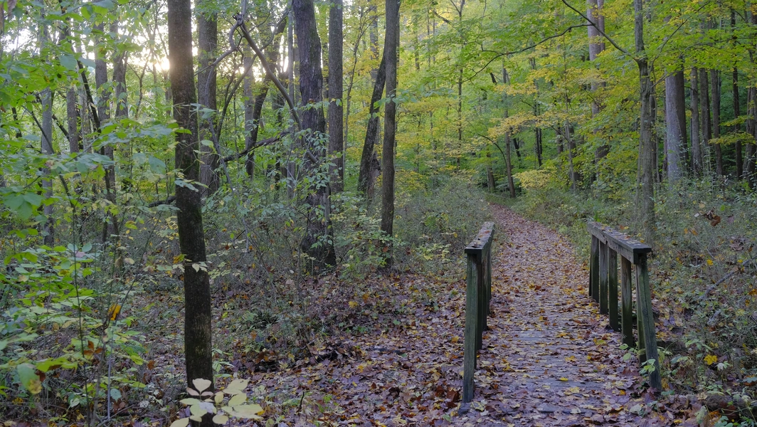 4 scenic Indiana trails with nature and history