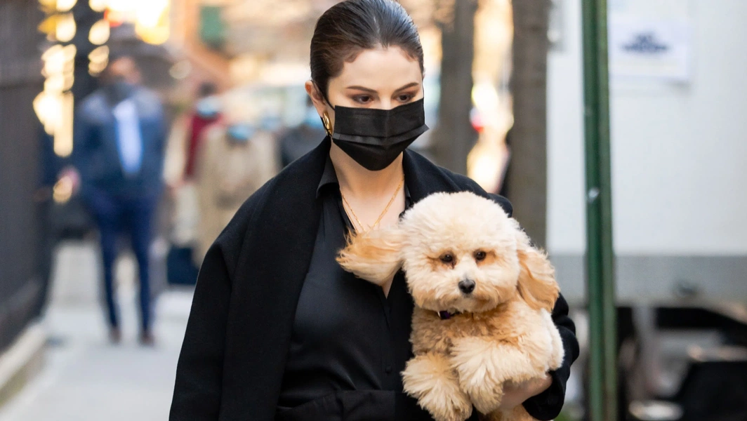 Celebrities who adopted rescue animals