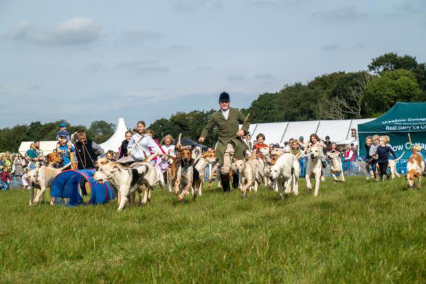 Day celebrating rural life returning to Hampshire with fun activities