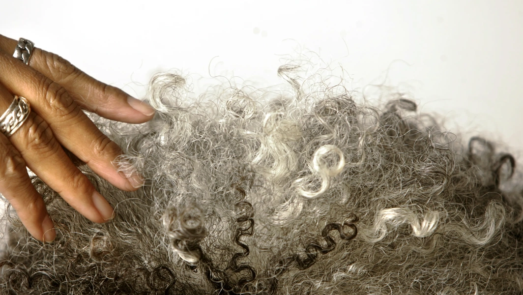 Embracing natural gray hair: Stories, science, and style