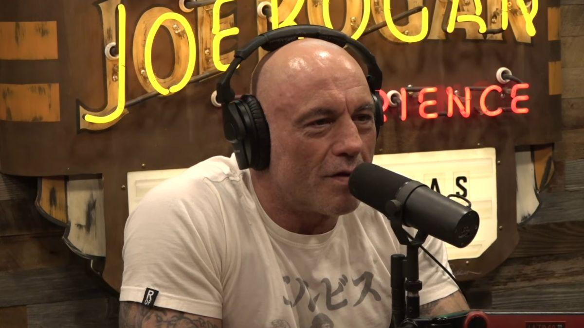 Joe Rogan tells Donald Trump to stick with UFC after Madison Square ...
