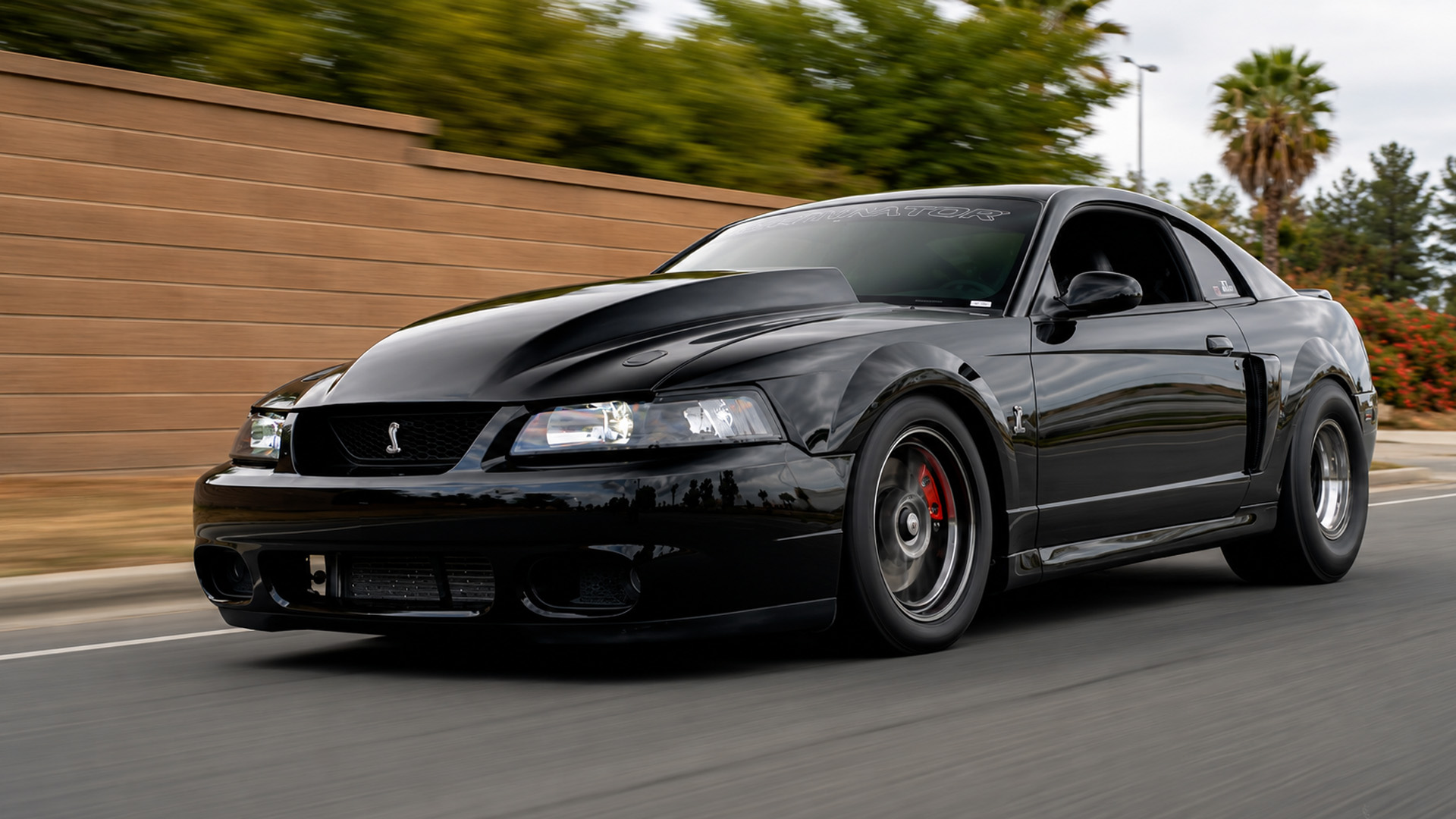 1000HP Cobra pulls hard through public roads