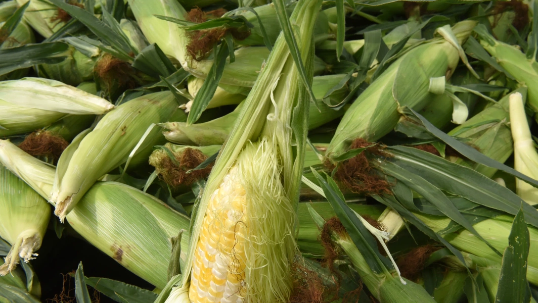 Enhancing flavor and texture of corn on the cob