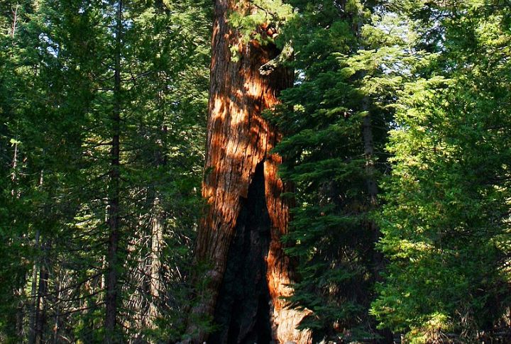 15 thrilling family activities around Yosemite