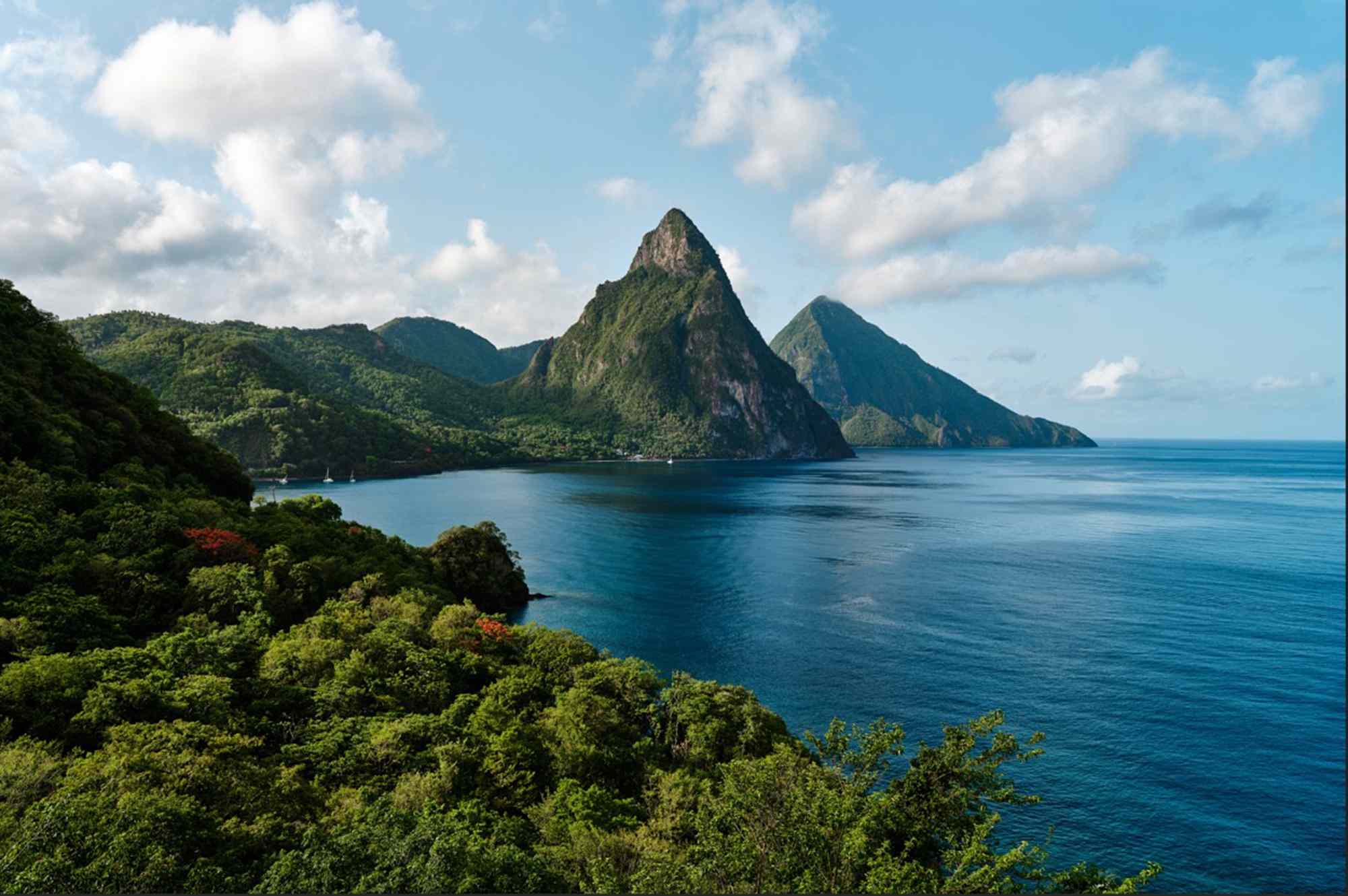 This next-level wellness resort on St. Lucia has a raw vegan restaurant ...
