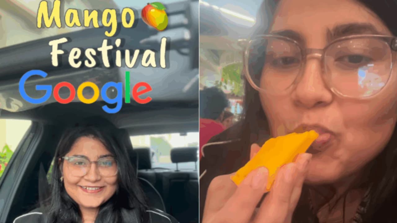 Google employee rushes to office at 4 PM for mango festival; viral post ...