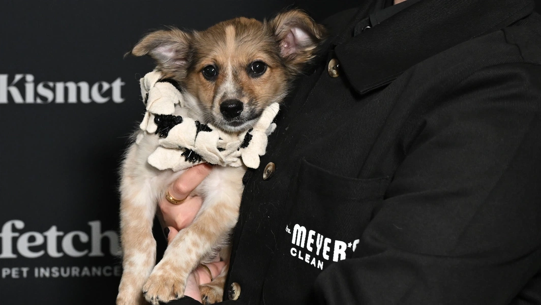 Celebrities who adopted rescue animals