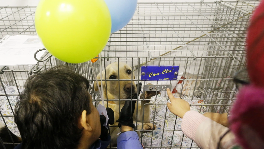 5 times dogs used barking to protect and warn
