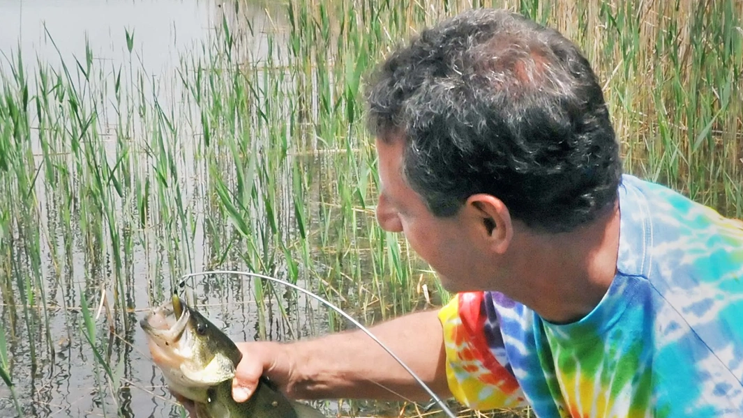9 common bass fishing myths debunked