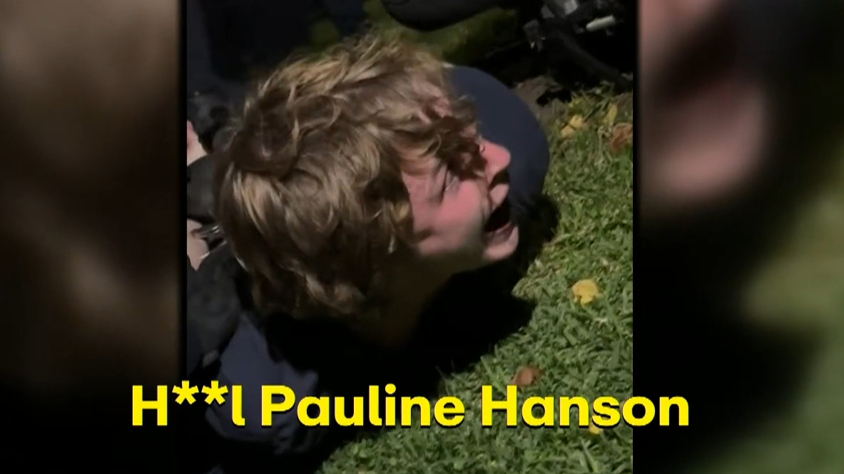 Hanson distances herself from neo-Nazi