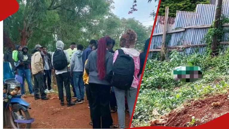 Nyeri: Questions linger after woman's mutilated body is found dumped in ...