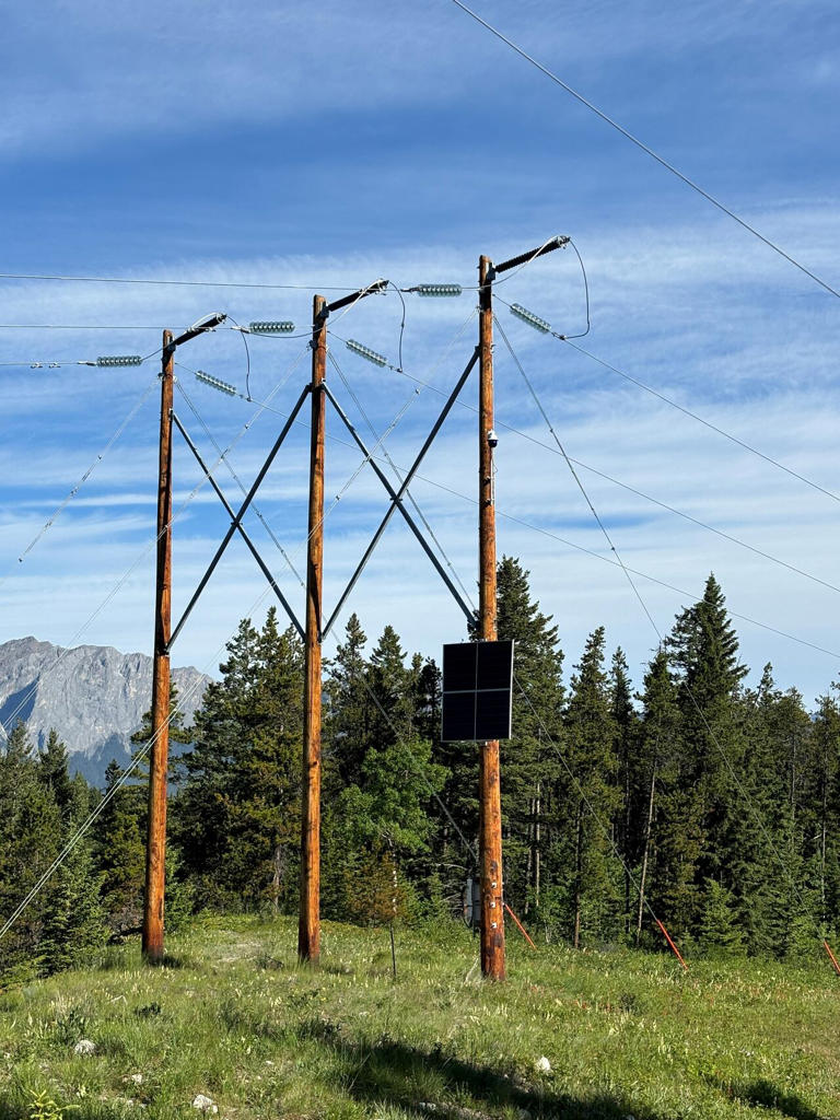 AI cameras being piloted to detect wildfires in Kananaskis