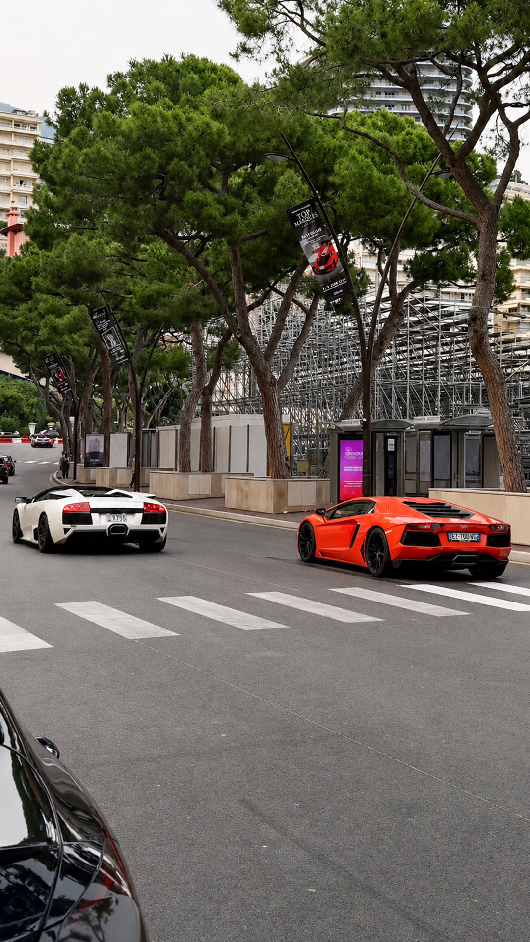 Lamborghini models adding color to Monaco streets