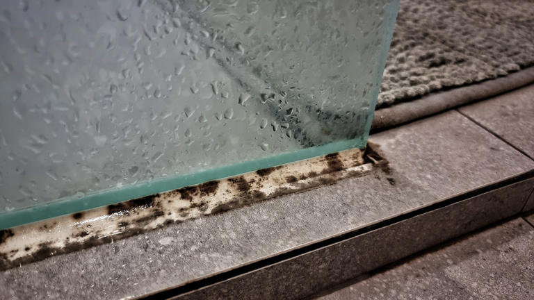 Why does mold keep coming back? It's got nothing to do with how I clean