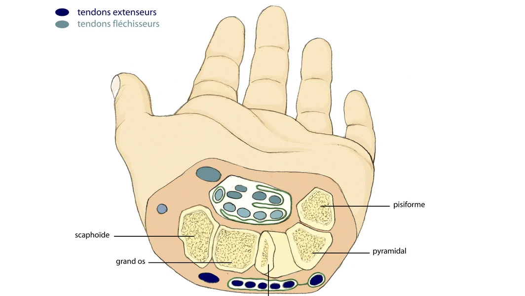 6 signs and stretches for carpal tunnel relief