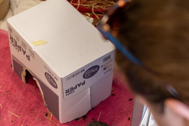 Warning issued after 60 guinea pigs saved in Oxfordshire