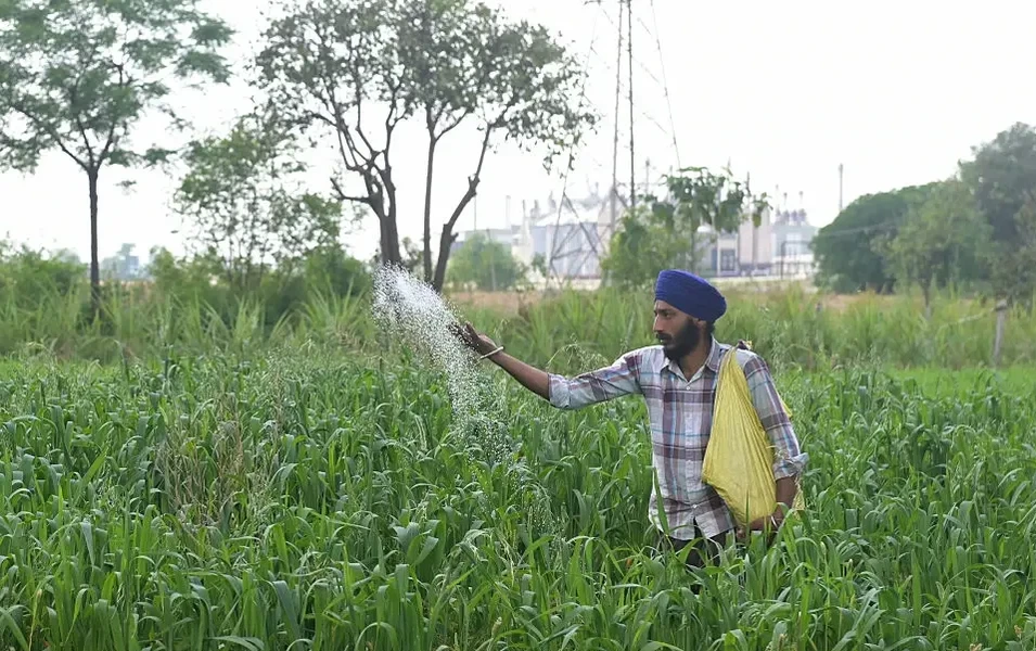 Fertiliser costs rise as subsidy burden grows