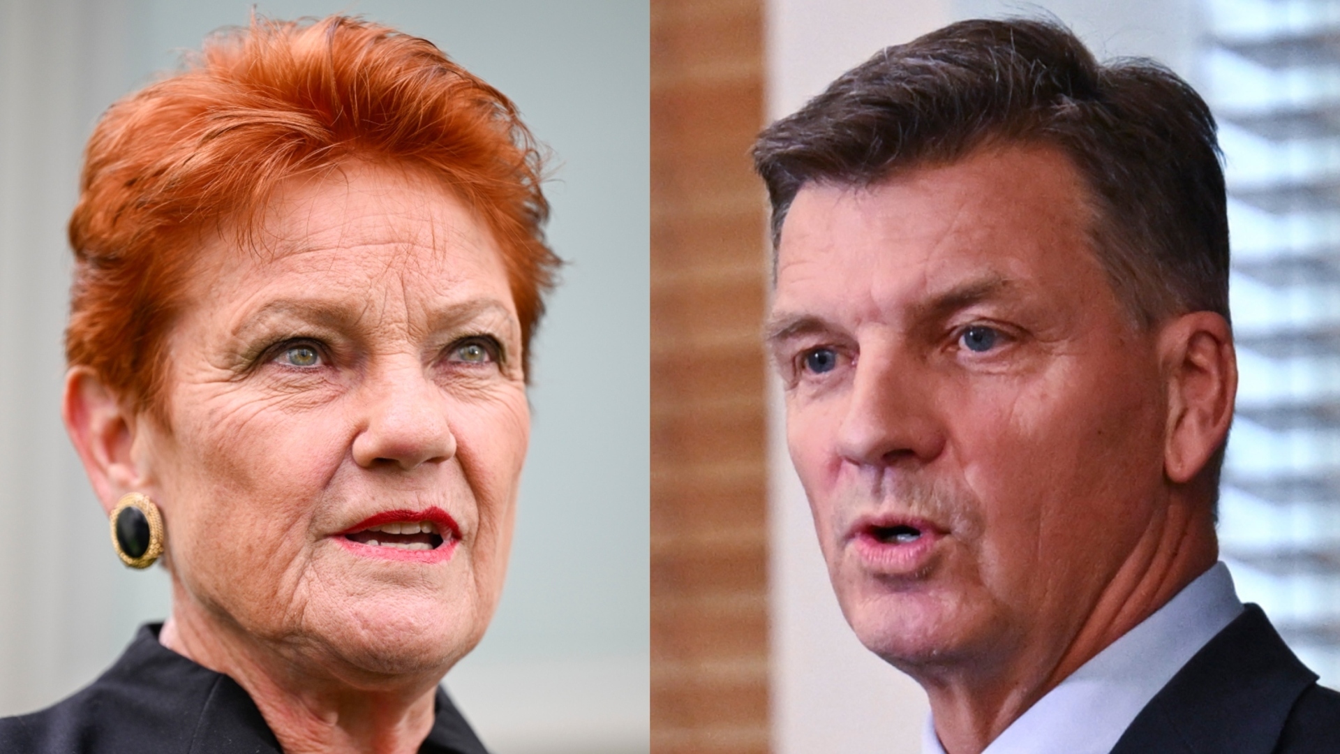 Coalition remains 'very optimistic' despite One Nation surge