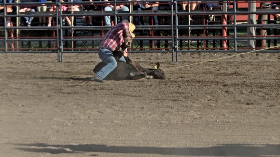 Clay County Fair and Events Center holds first 'Flagfest: Spurs and ...