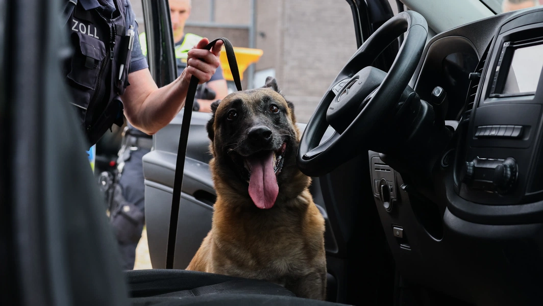 5 times dogs used barking to protect and warn