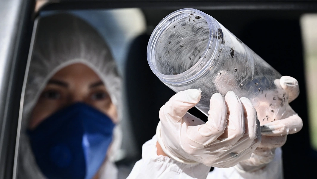 Google's Wolbachia mosquito control strategy
