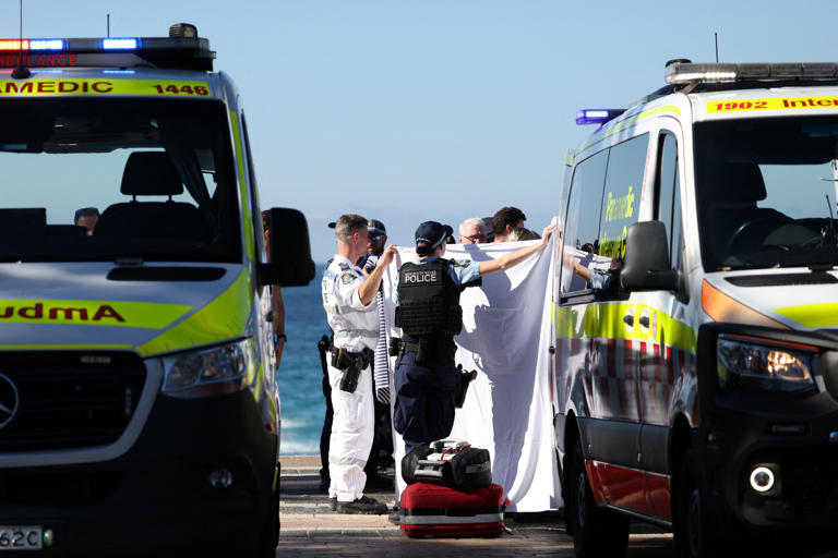 Sydney shark attack victim named as 35-year-old mother Leah Stewart