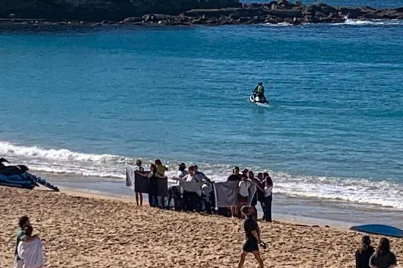 Woman, 30s, attacked by shark while swimming laps at popular beach as ...