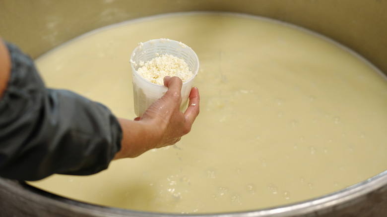 What is American cheese, really?
