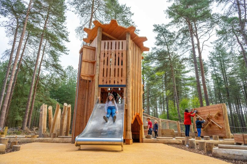 Forest close to Cambs with family-friendly activities like adventure ...
