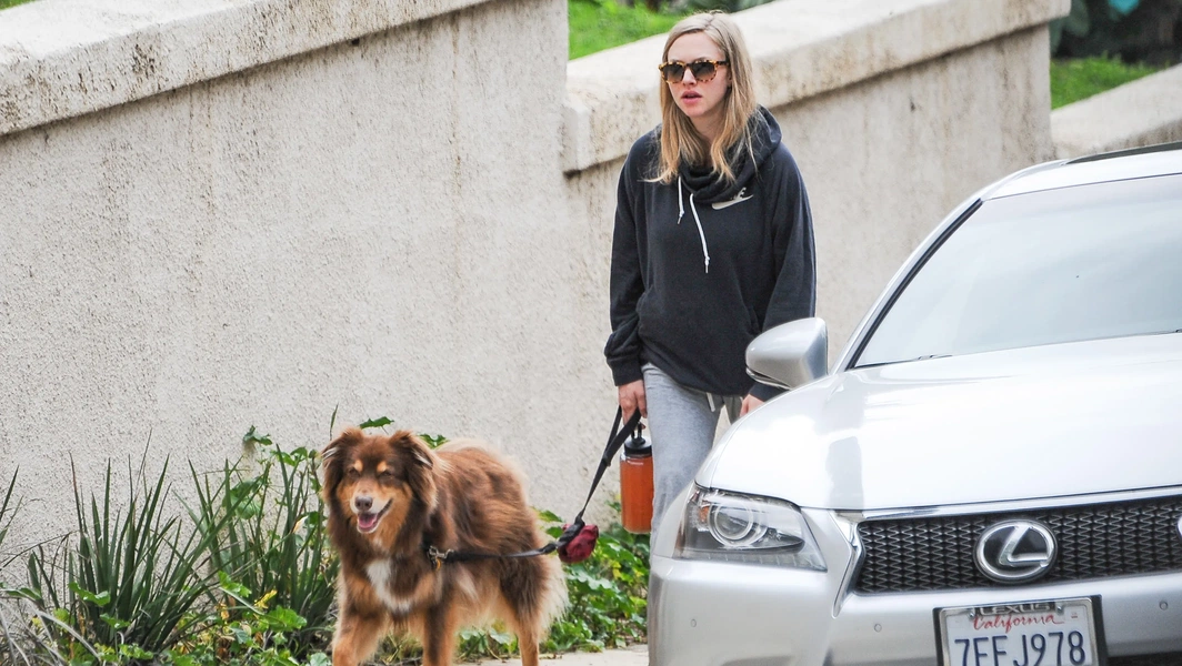 7 celebrities who adopted rescue animals