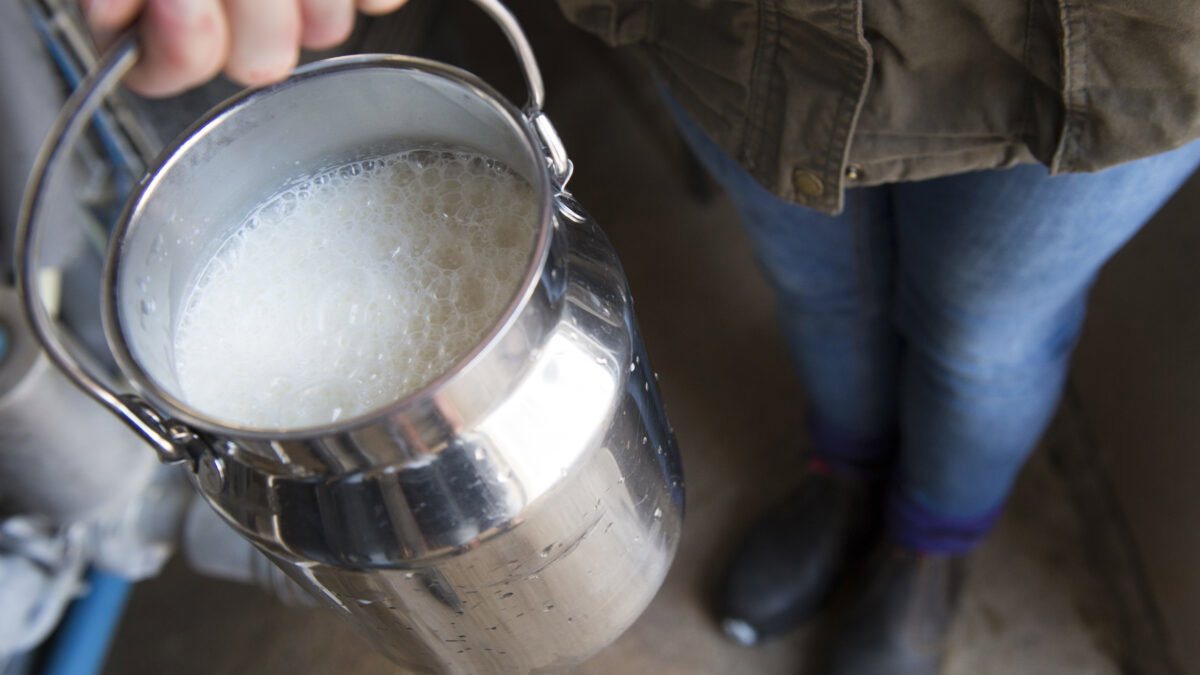 Efter sammanslagning – Arla gör ost i Ryssland