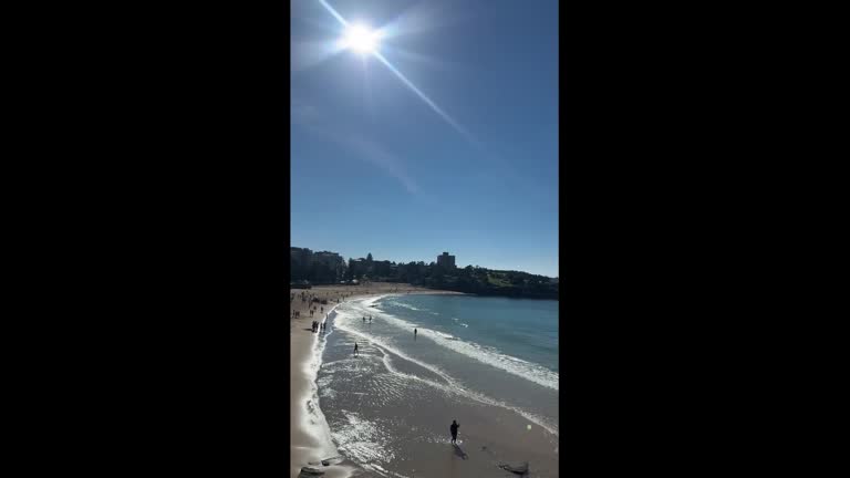 Shark alarm sounds at Sydney beach after woman seriously mauled