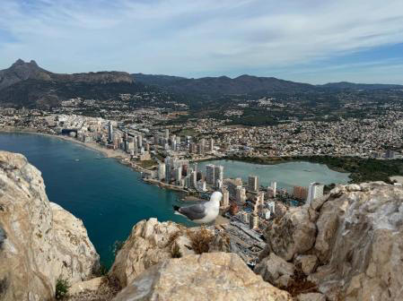 Calp a vista de gaviota