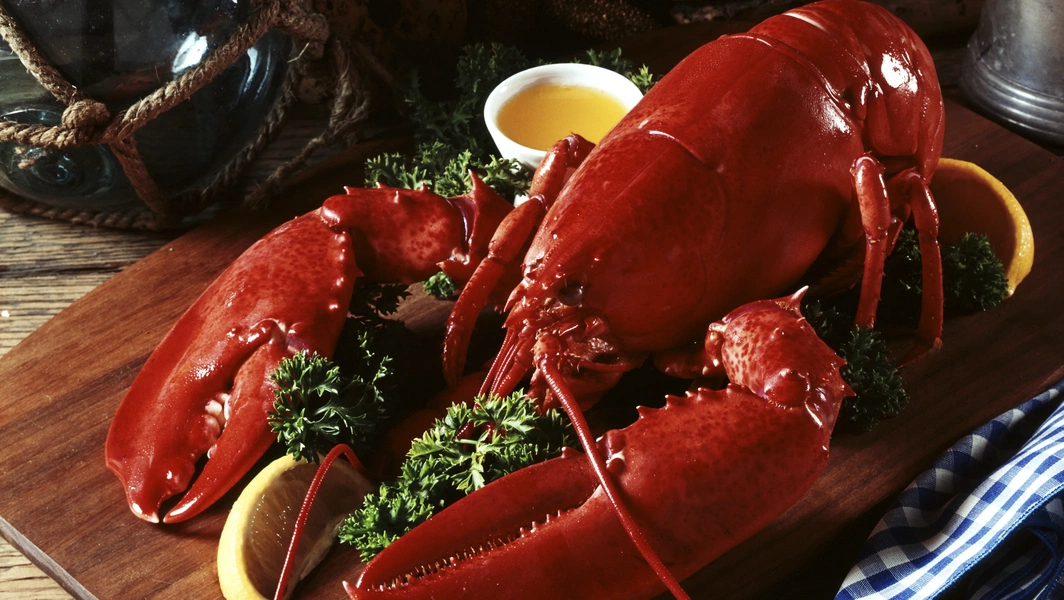 8 must-try lobster roll spots in Connecticut