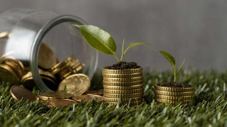 Quelle est la fonction d’une banque dite « écologique