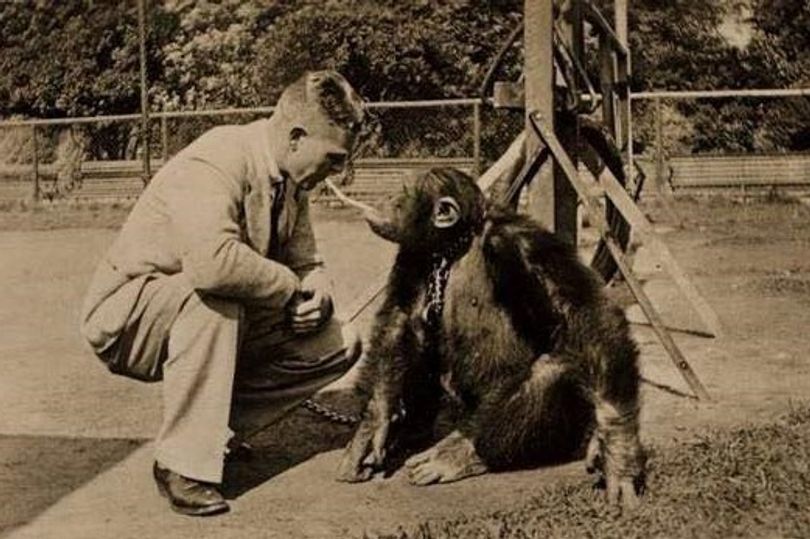 The forgotten Liverpool zoo that was once home to a smoking chimp