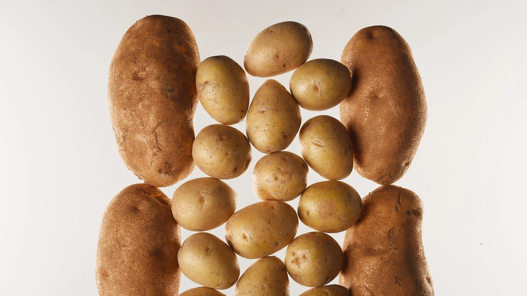 Mastering ground beef and potato dishes