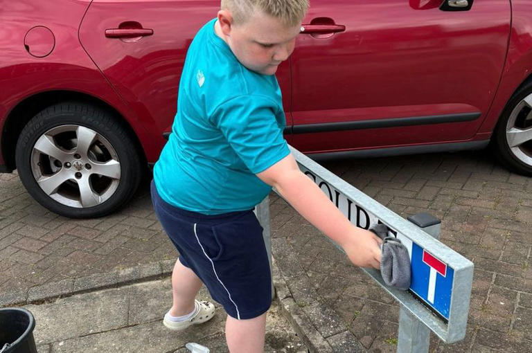 Boy, 8, spends weeks cleaning street signs in Laceby Acres