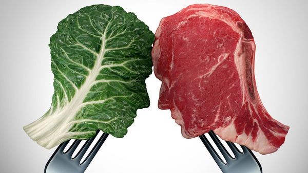 Abnehmen mit Low Carb oder Low Fat? Studie entlarvt Ernährungsirrtum