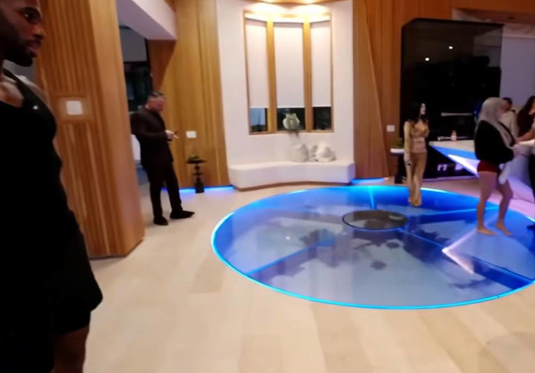 Jason Derulo slammed by critics after keeping shark in 'cruel' living ...