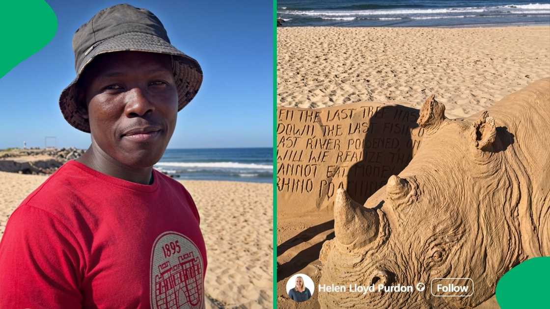 What a talent: Port Alfred sand artist sculpts stunning rhino with a ...