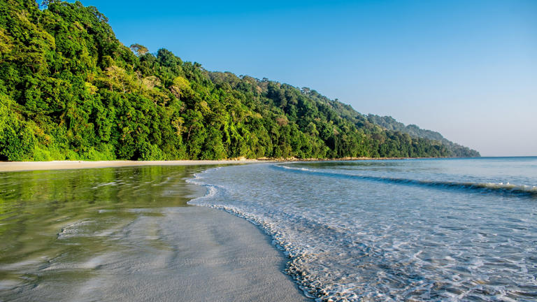 In India, this is one of the world’s cleanest beaches — the water is so ...