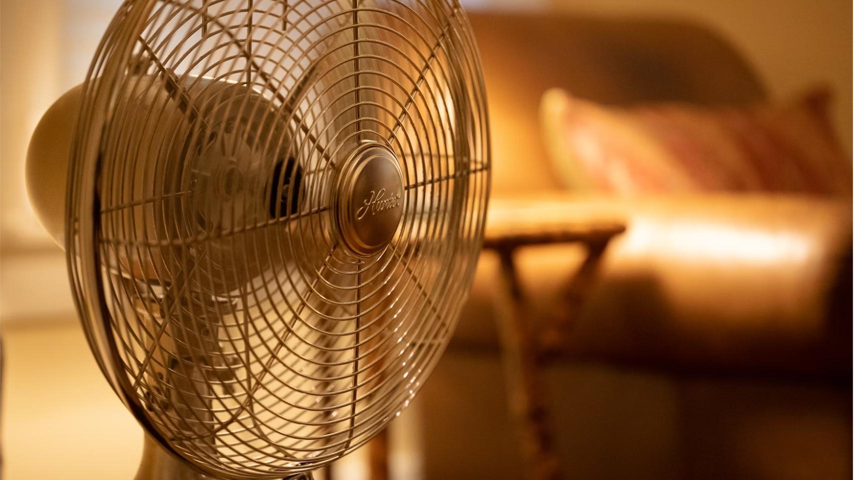 Los expertos coinciden: "Cuando la temperatura supera los 35 °C, los ...
