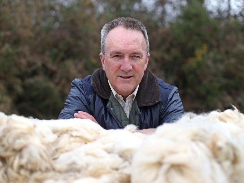 Wool prices increase by 10% in a single month