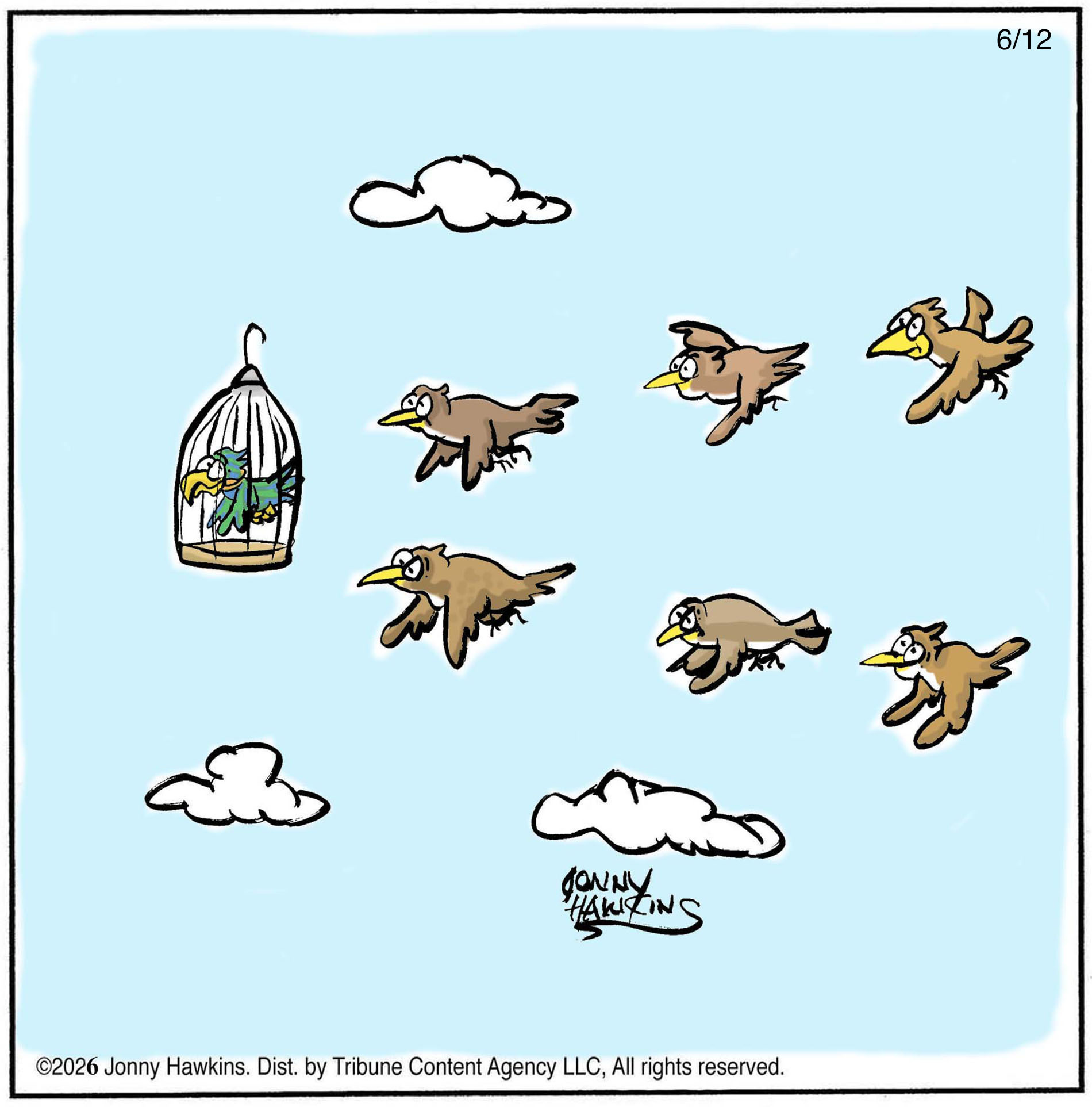 Zoolies by Jonny Hawkins