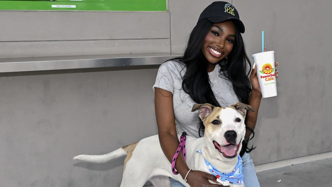 7 celebrities who adopted rescue animals