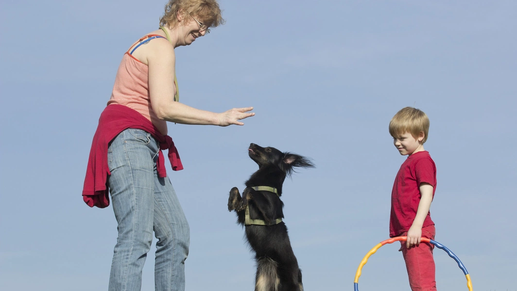 17 common triggers that stress dogs