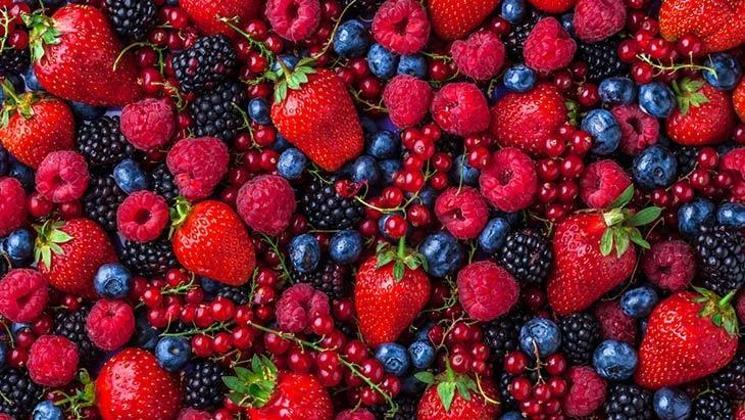Hem ekonomik hem sağlıklı! Kolesterolü düşüren 4 market ürünü
