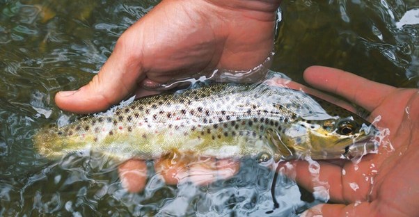 25 fishing destinations where people are actually catching big ones